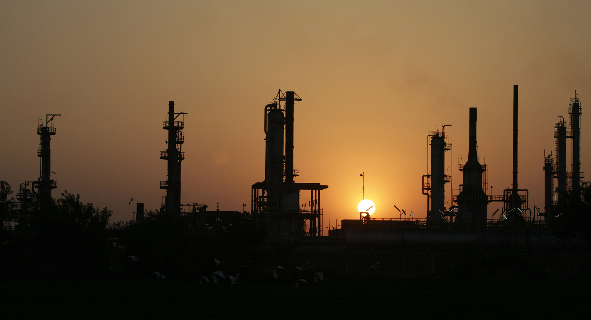 Cortem Group contribuirà al progetto Zohr